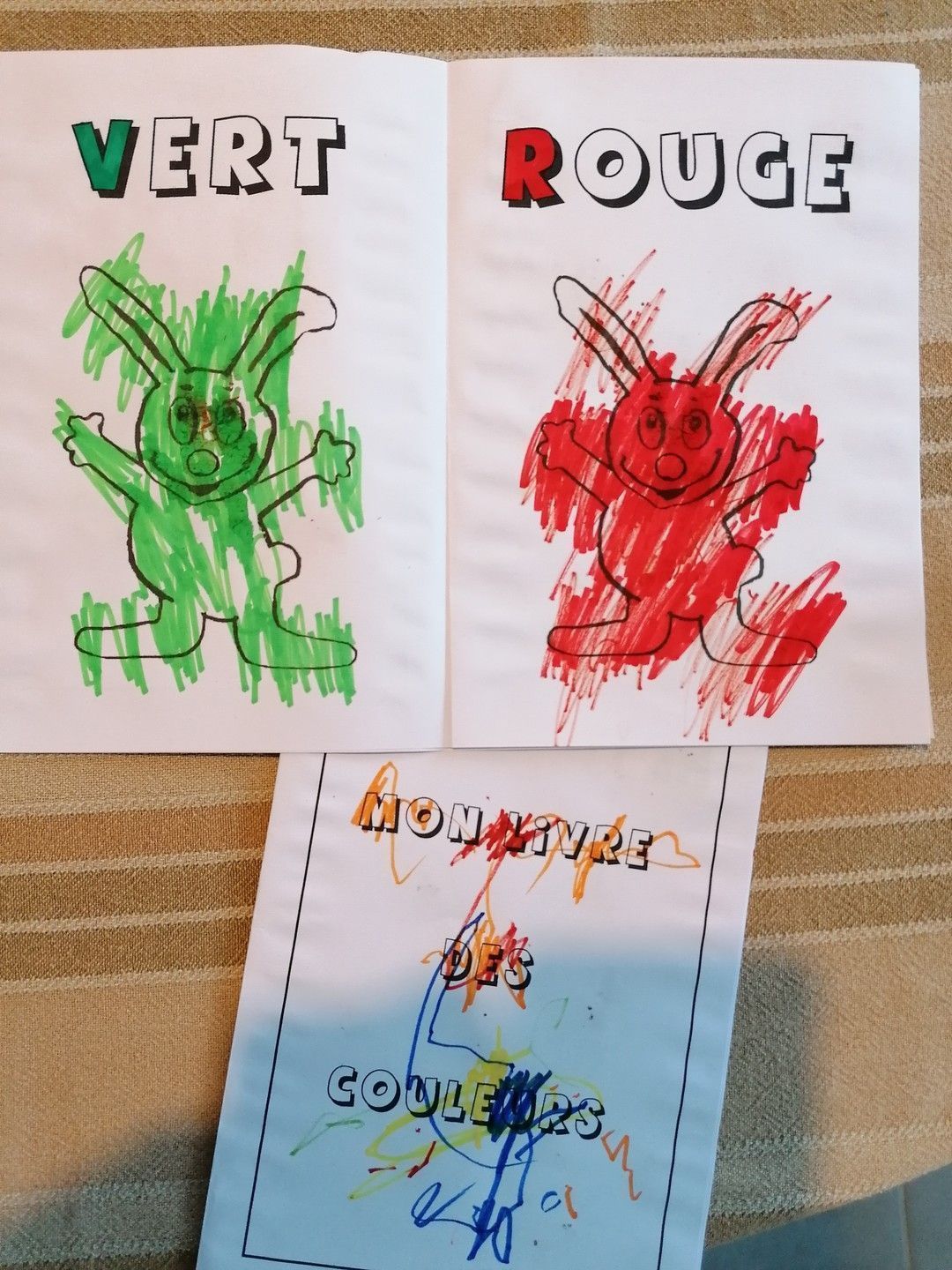 Mon livre des couleurs